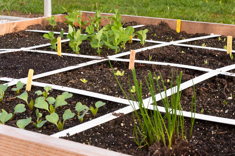 FijneDagVan - Elke dag een Dag!